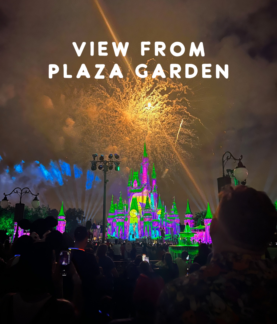Is the Magic Kingdom Fireworks Dessert Party Worth It? | Somewhere ...