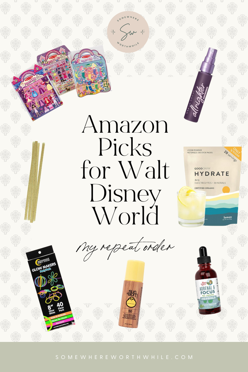 Amazon Picks for Disney World: What’s in My Repeat Order | Somewhere ...